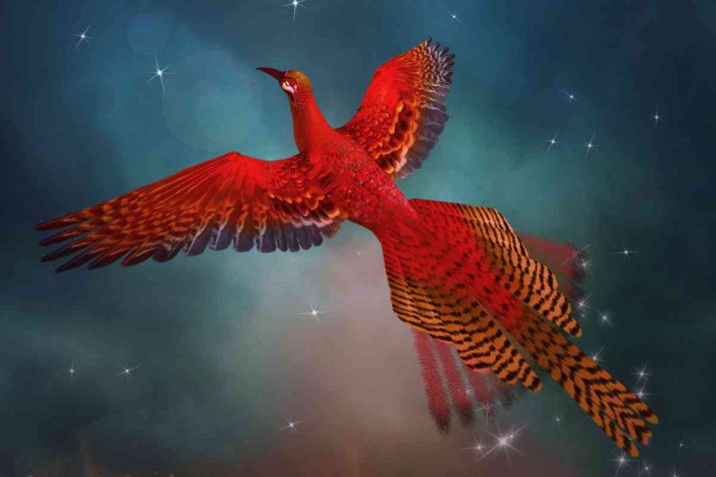 Animal Symbolism - Spiritual Succor