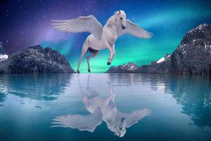 12 Animals that Represent Freedom (With Photos)